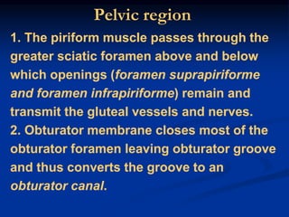 myology_II.ppt | Death, Injury, or Military Conflict | Sensitive Topics