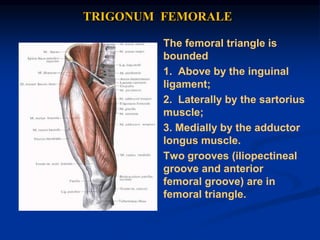 myology_II.ppt | Death, Injury, or Military Conflict | Sensitive Topics