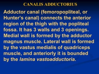 myology_II.ppt