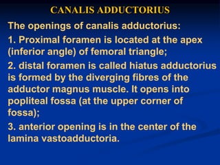 myology_II.ppt | Death, Injury, or Military Conflict | Sensitive Topics