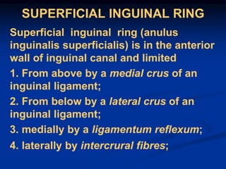 myology_II.ppt