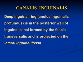 myology_II.ppt | Death, Injury, or Military Conflict | Sensitive Topics