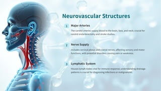 Myology & Osteology of the Neck and their function.pdf