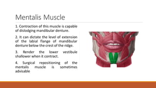 Myology related to complete denture.pdf