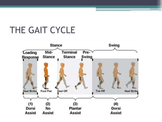 neuropathic gait and foot drop | PPTX