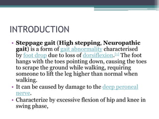 Steppage Gait