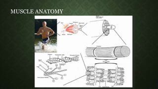 Myopathies | PPTX