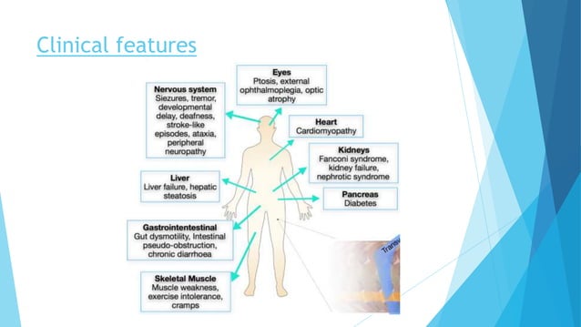 Myopathies Classification and physiotherapy management.pptx | Physical ...