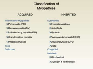 Myopathies & muscular dystrophies | PPTX