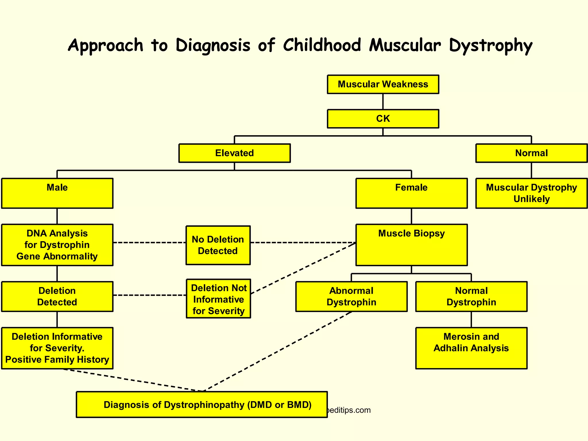 Muscular Dystrophies in Childhood | PPTX