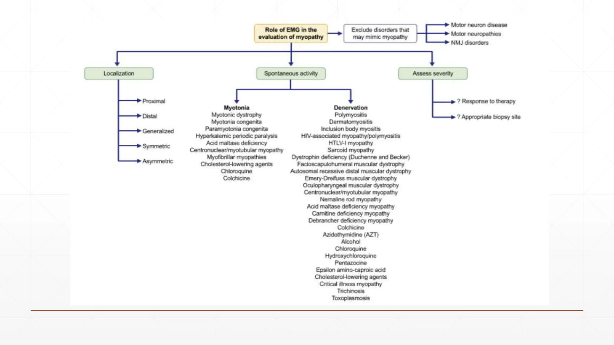 Myopathy power point presentationnn.pptx