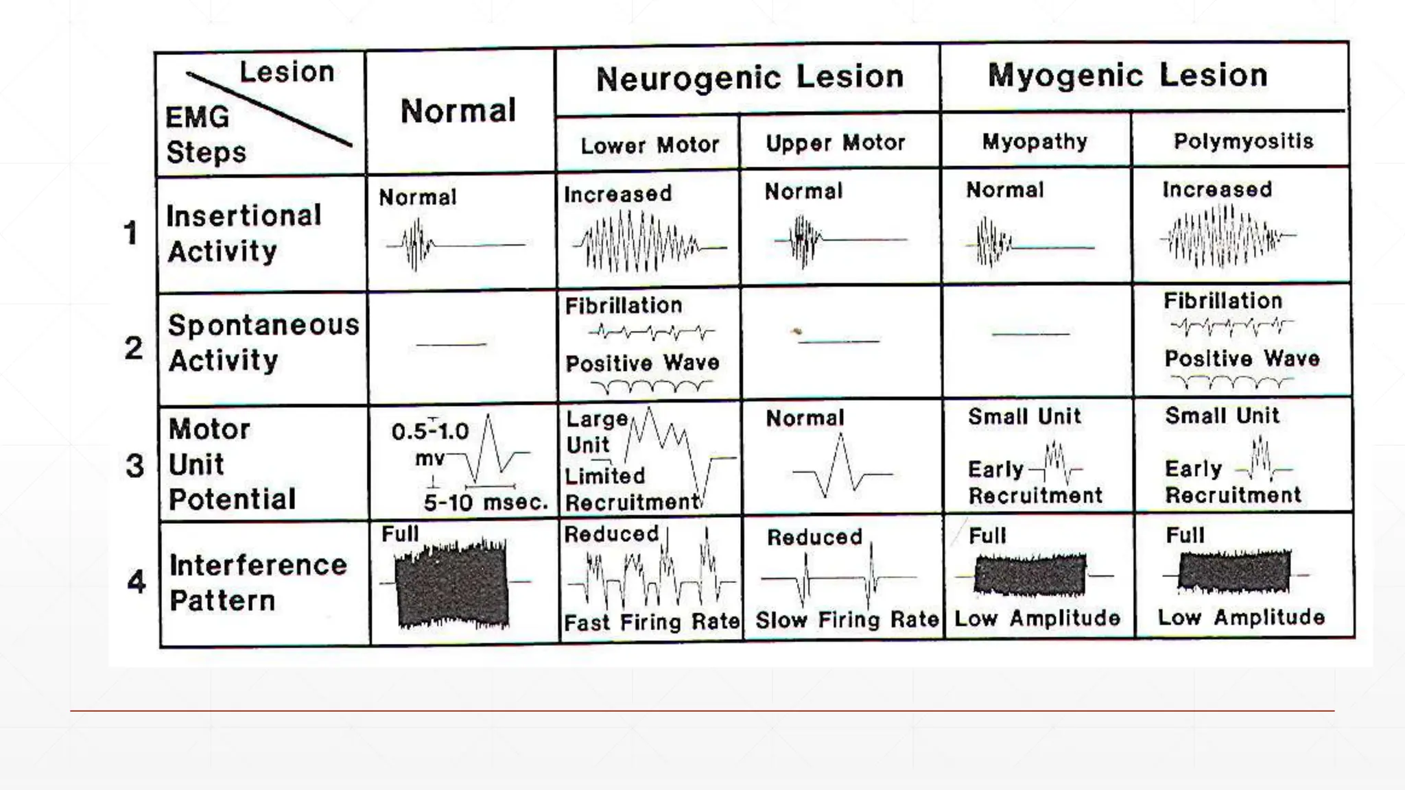 Myopathy power point presentationnn.pptx