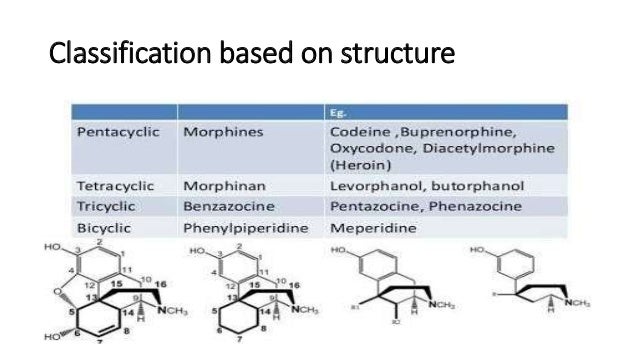 Structure activity relationship of Opiods