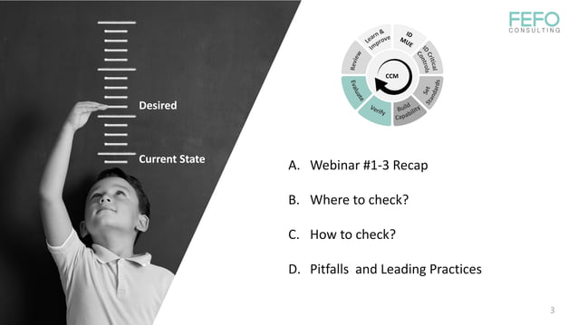 Part 4 - Critical Control Verification: Are your controls effective? | PDF