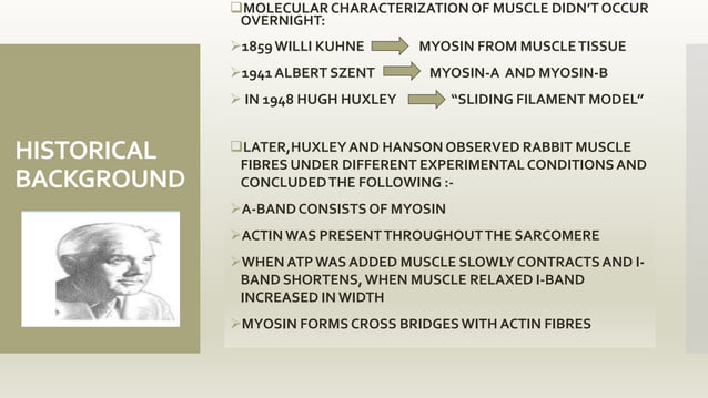MYOSIN STRUCTURE, FUNCTION AND MODE OF ACTION IN HUMANS | PPTX