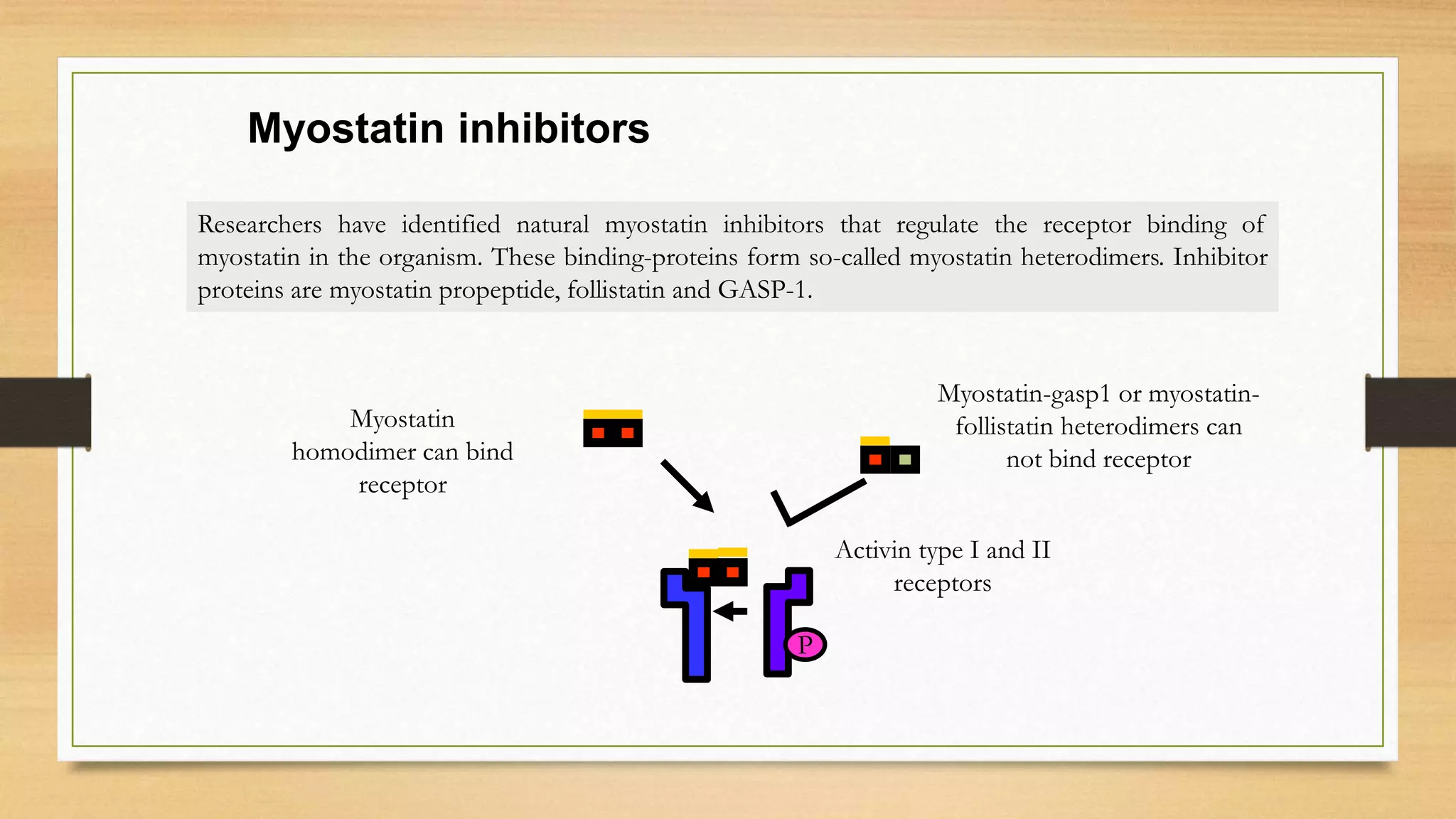 Myostatin | PPTX