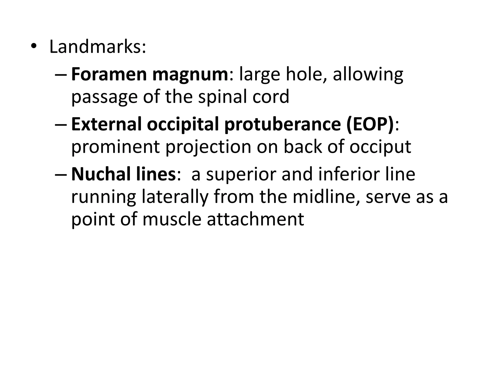 Osteology of facial skeleton | PPTX