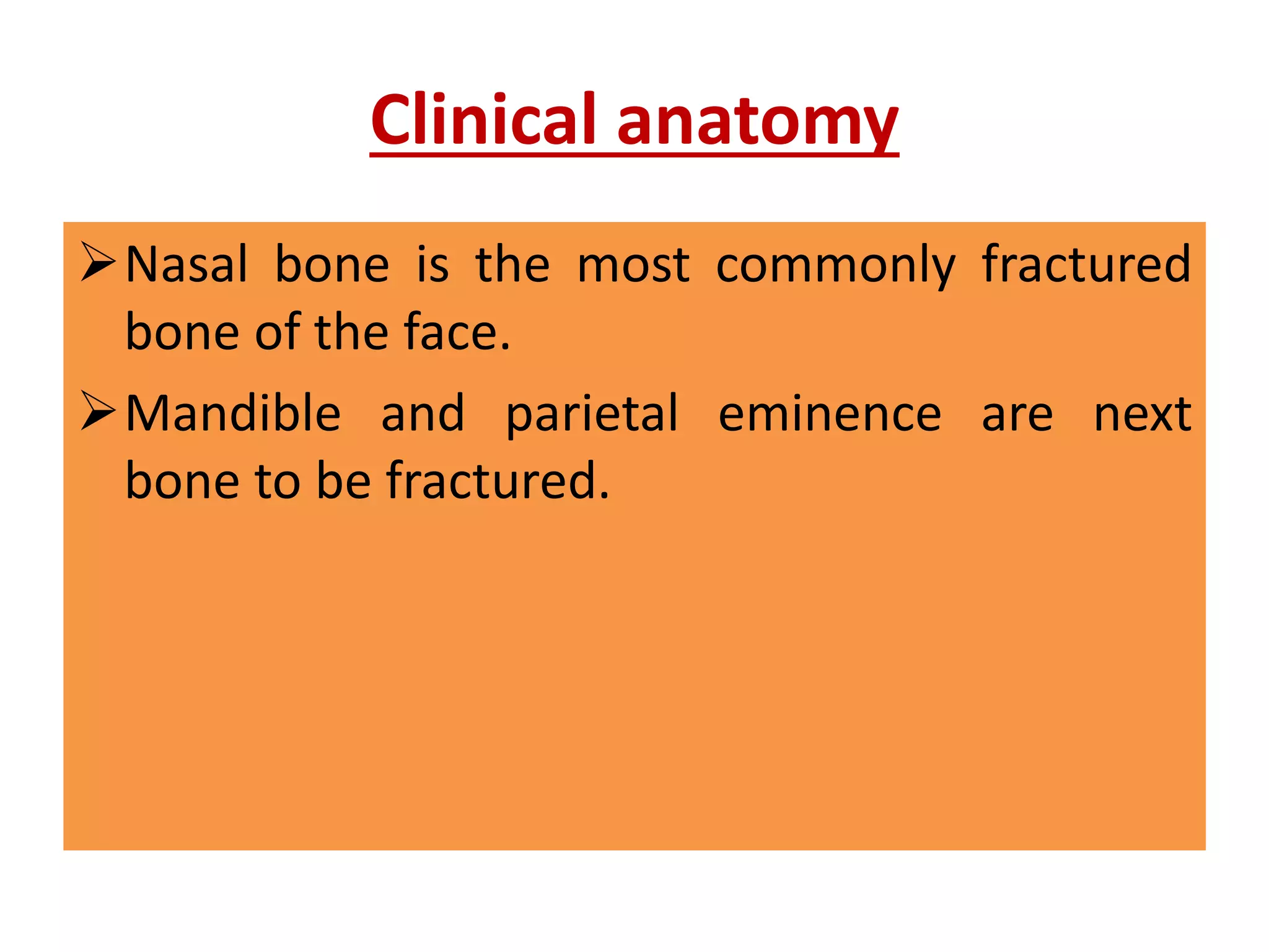 Osteology of facial skeleton | PPTX