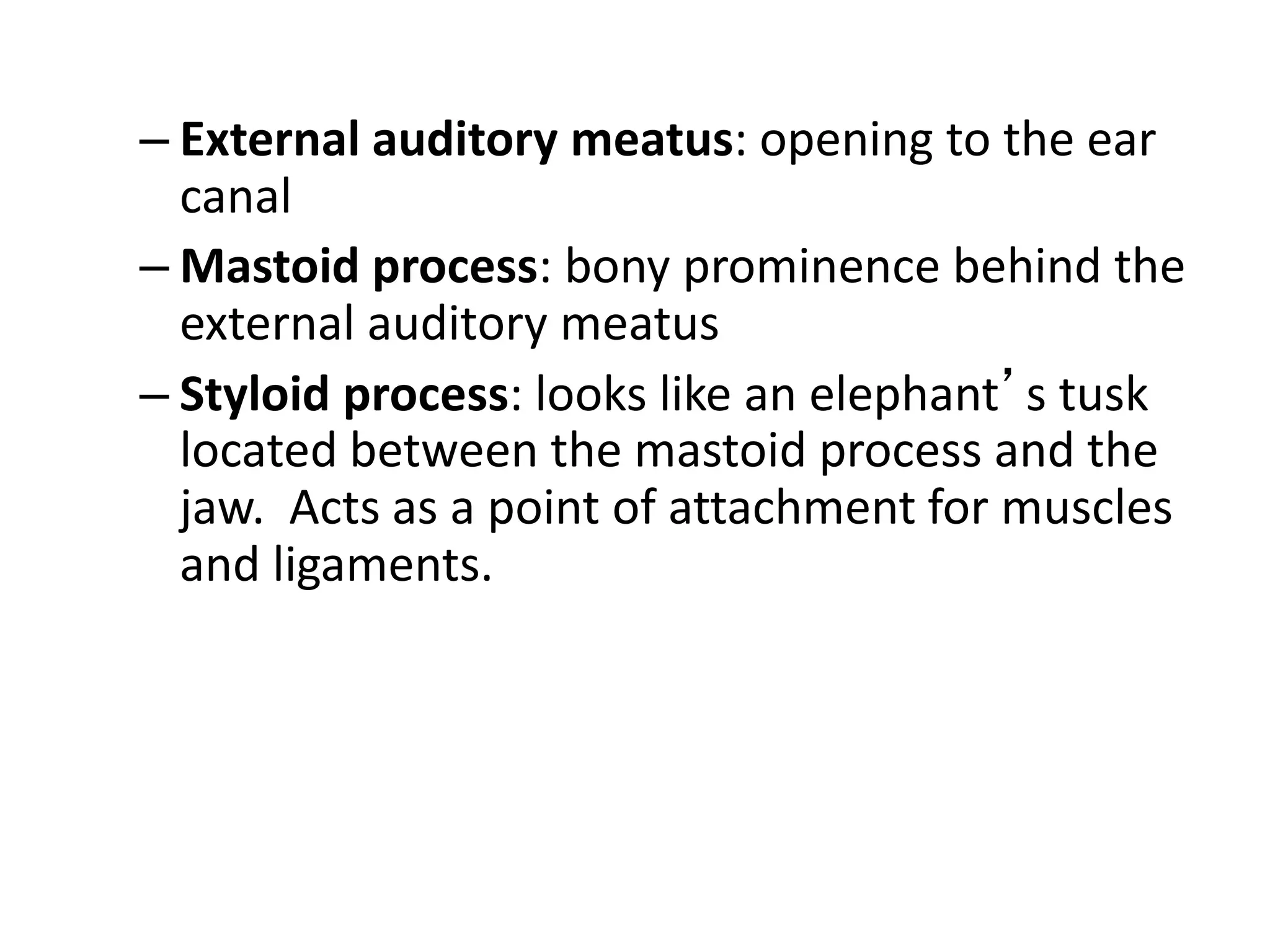 Osteology of facial skeleton | PPTX