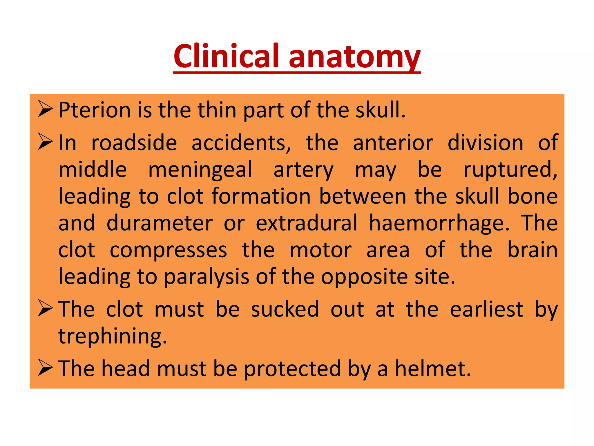 Osteology of facial skeleton | PPTX