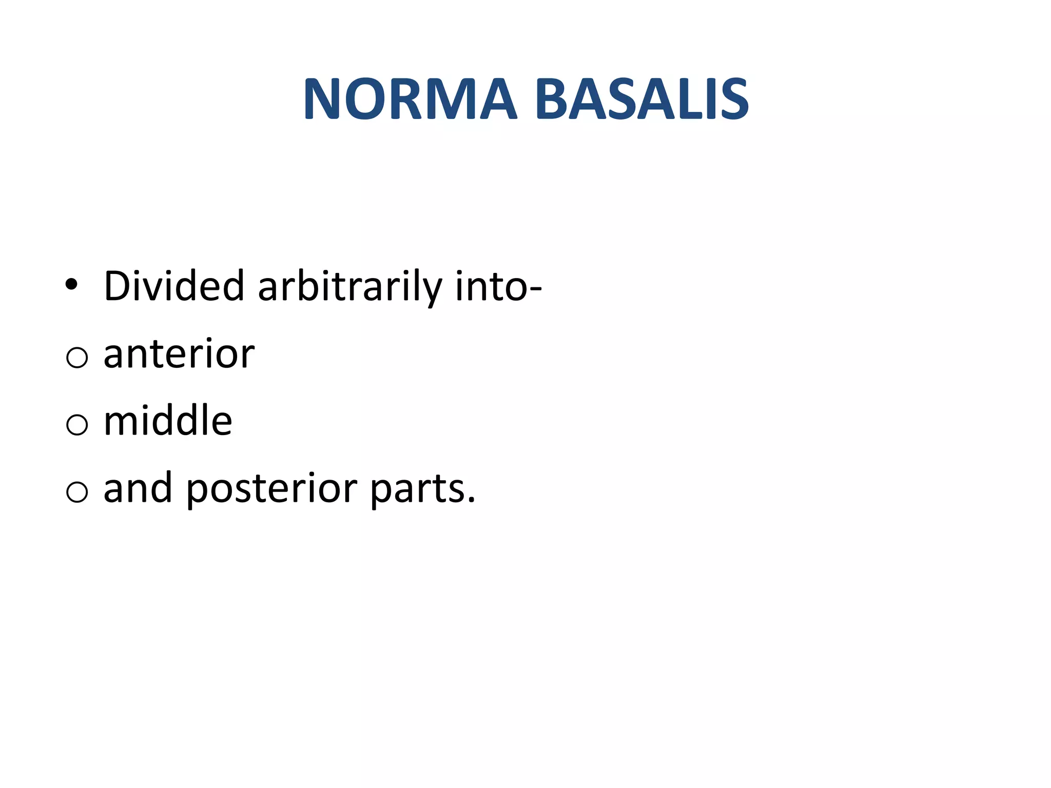 Osteology of facial skeleton | PPTX