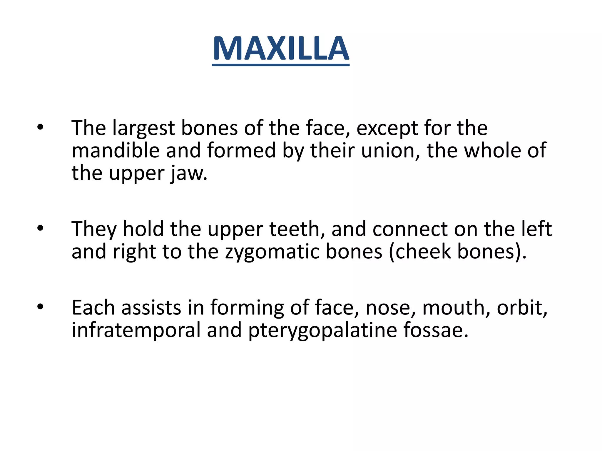 Osteology of facial skeleton | PPTX