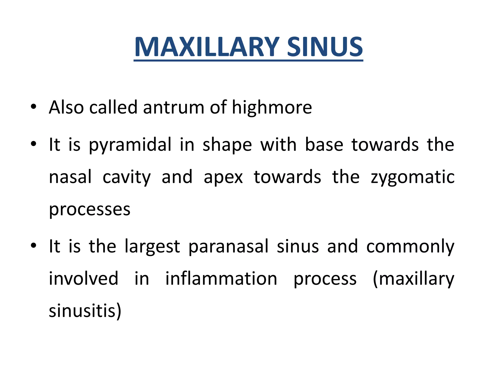 Osteology of facial skeleton | PPTX