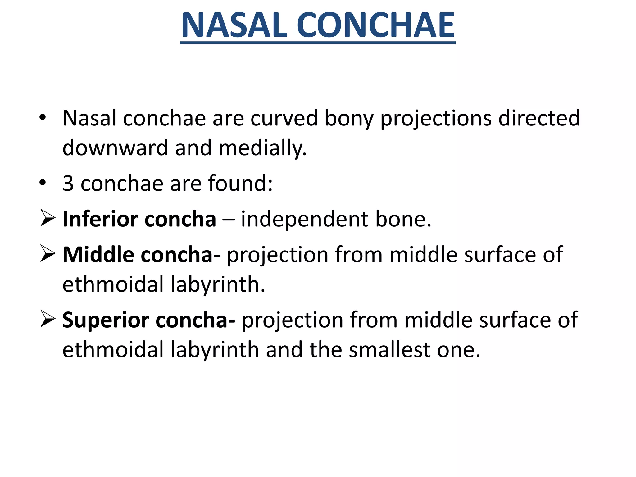 Osteology of facial skeleton | PPTX