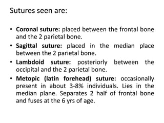 Osteology of facial skeleton | PPTX