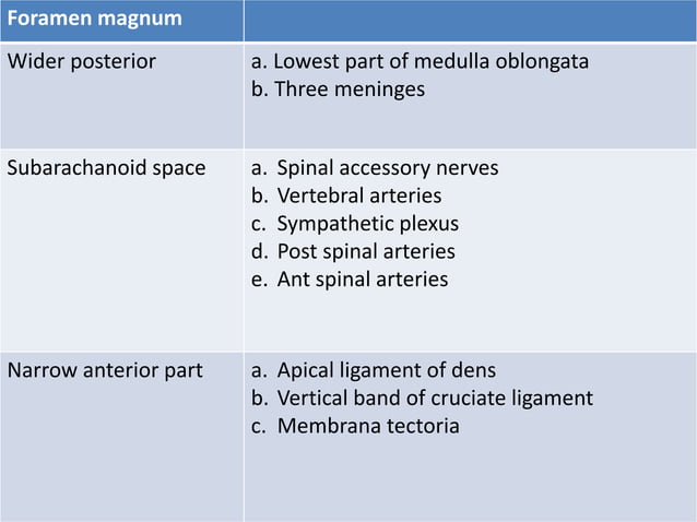 Osteology of facial skeleton | PPTX