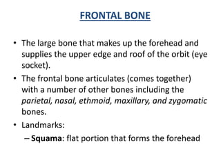 Osteology of facial skeleton | PPTX