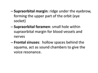 Osteology of facial skeleton | PPTX