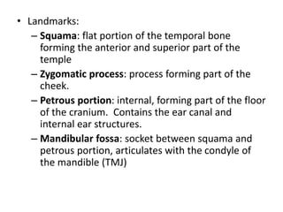 Osteology of facial skeleton | PPTX