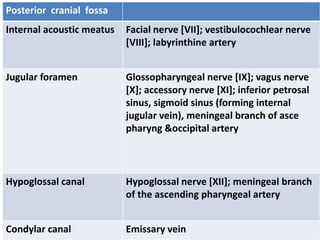 Osteology of facial skeleton | PPTX
