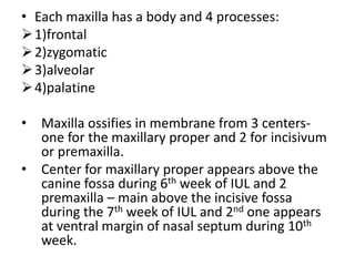 Osteology of facial skeleton | PPTX