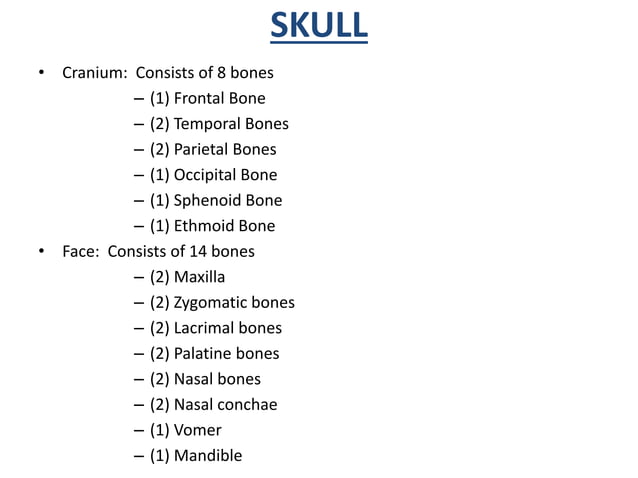 Osteology of facial skeleton | PPTX