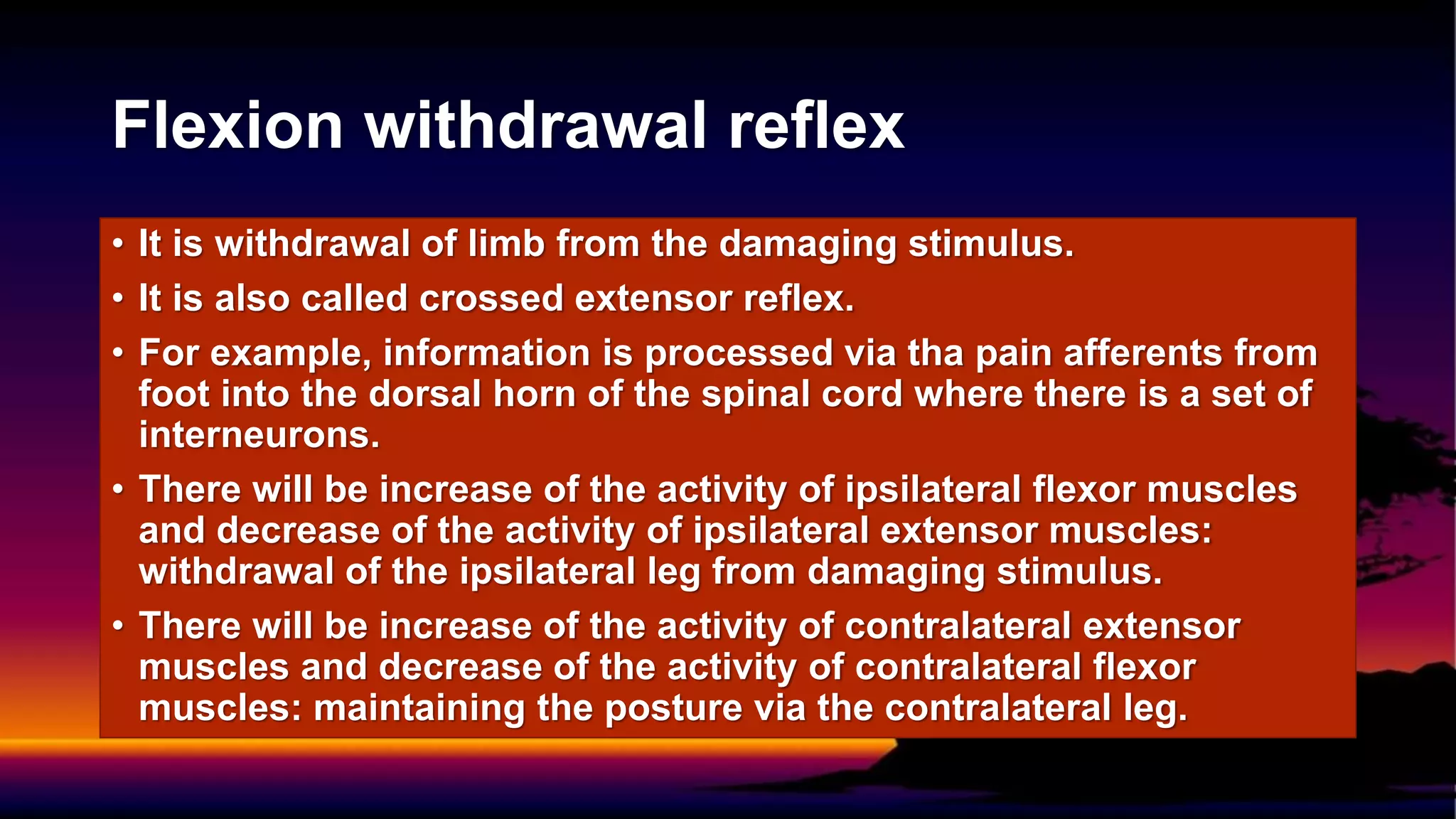 Myotatic reflexes | PPSX