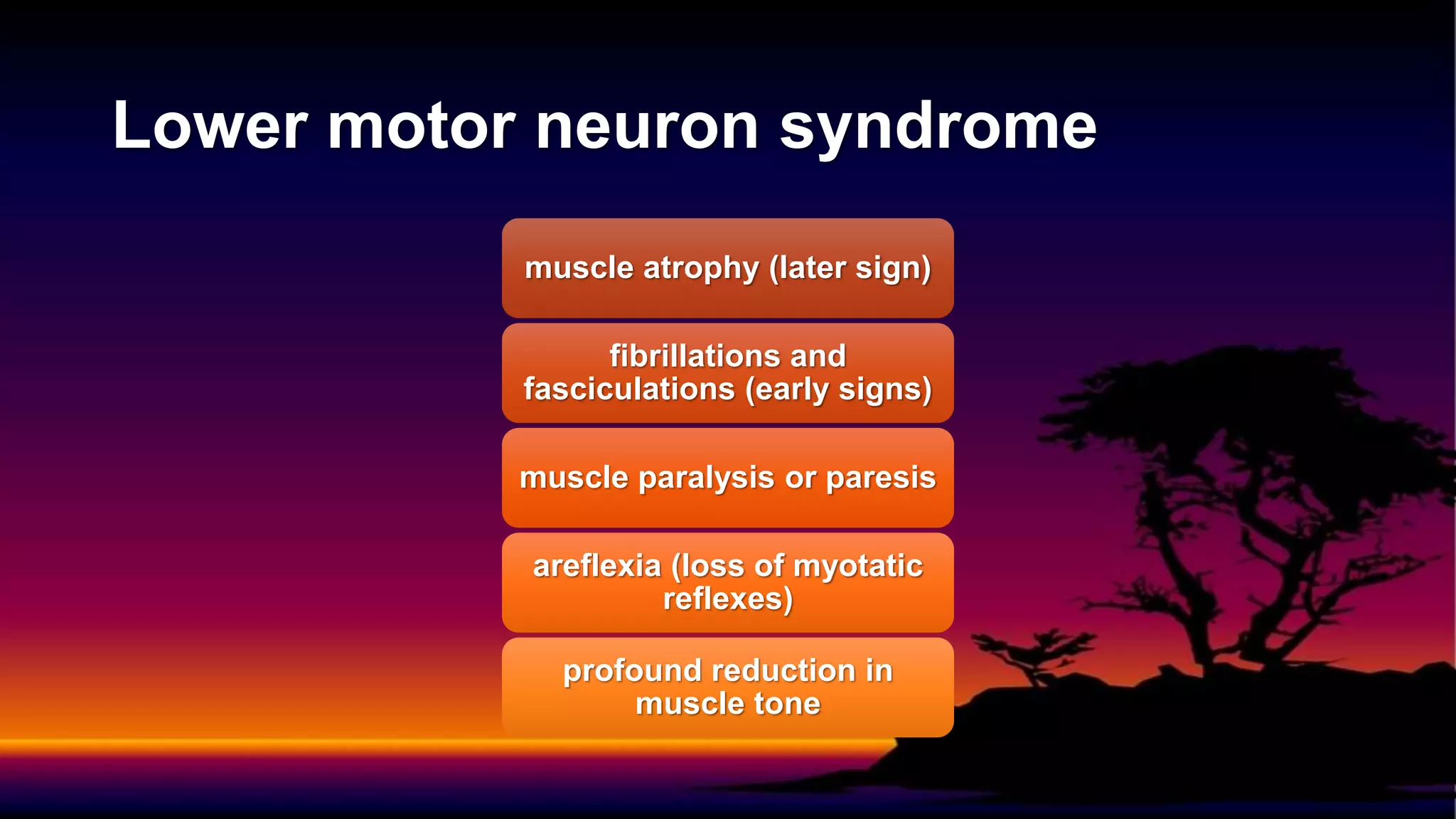 Myotatic reflexes | PPSX
