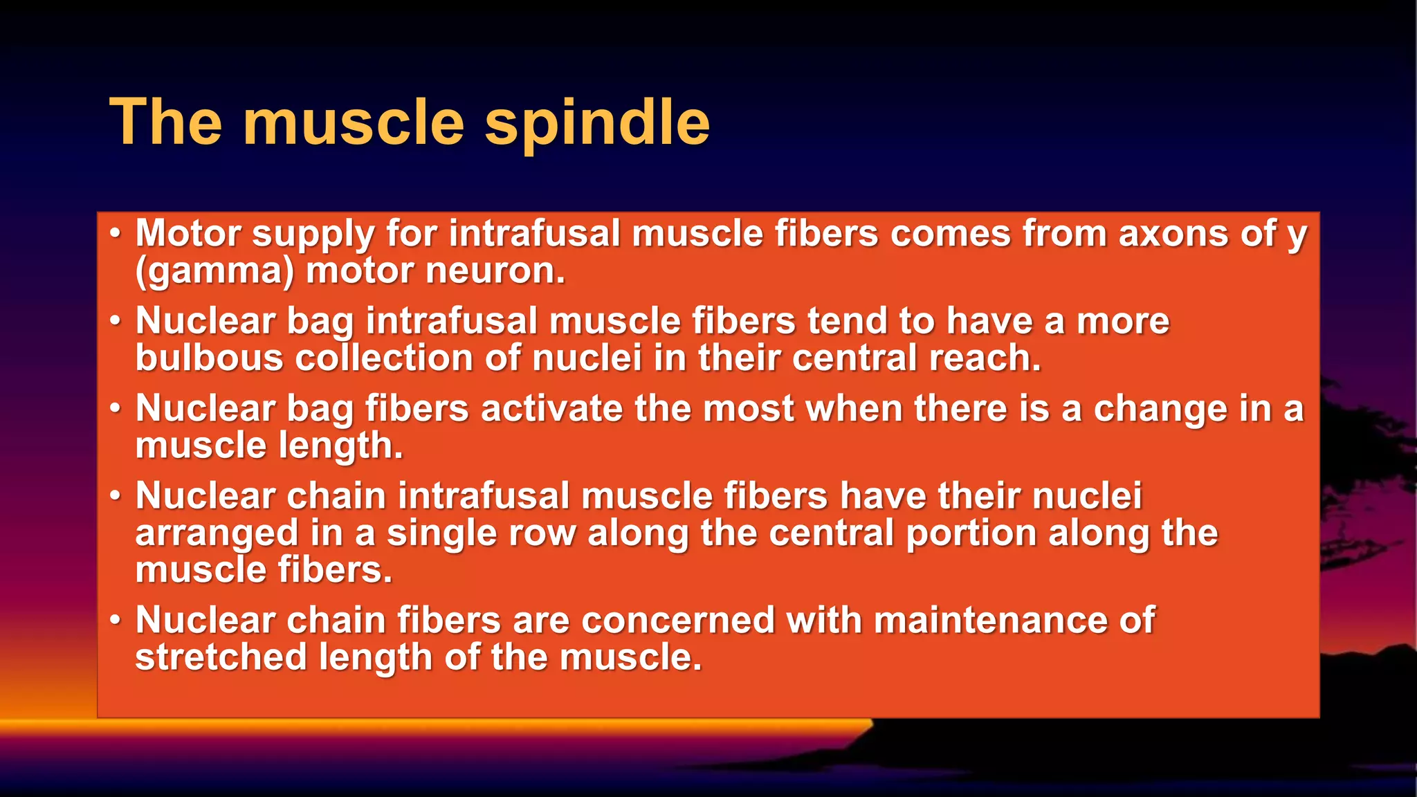Myotatic reflexes | PPSX