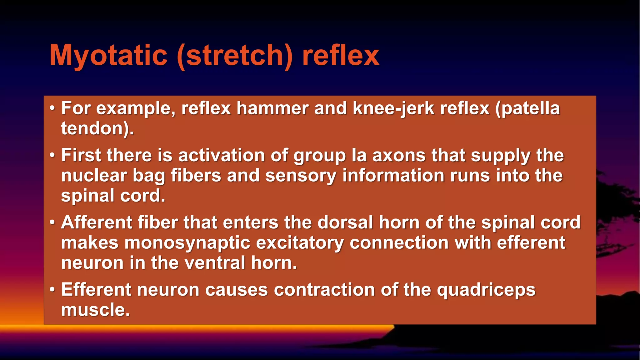 Myotatic reflexes | PPSX