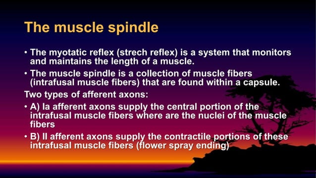 Myotatic reflexes | PPSX | Brain and Nervous System Disorders ...