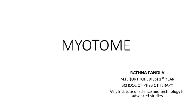 Myotome assessment for physiotherapy students | PPTX | Death, Injury ...
