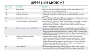 Myotome assessment for physiotherapy students | PPTX