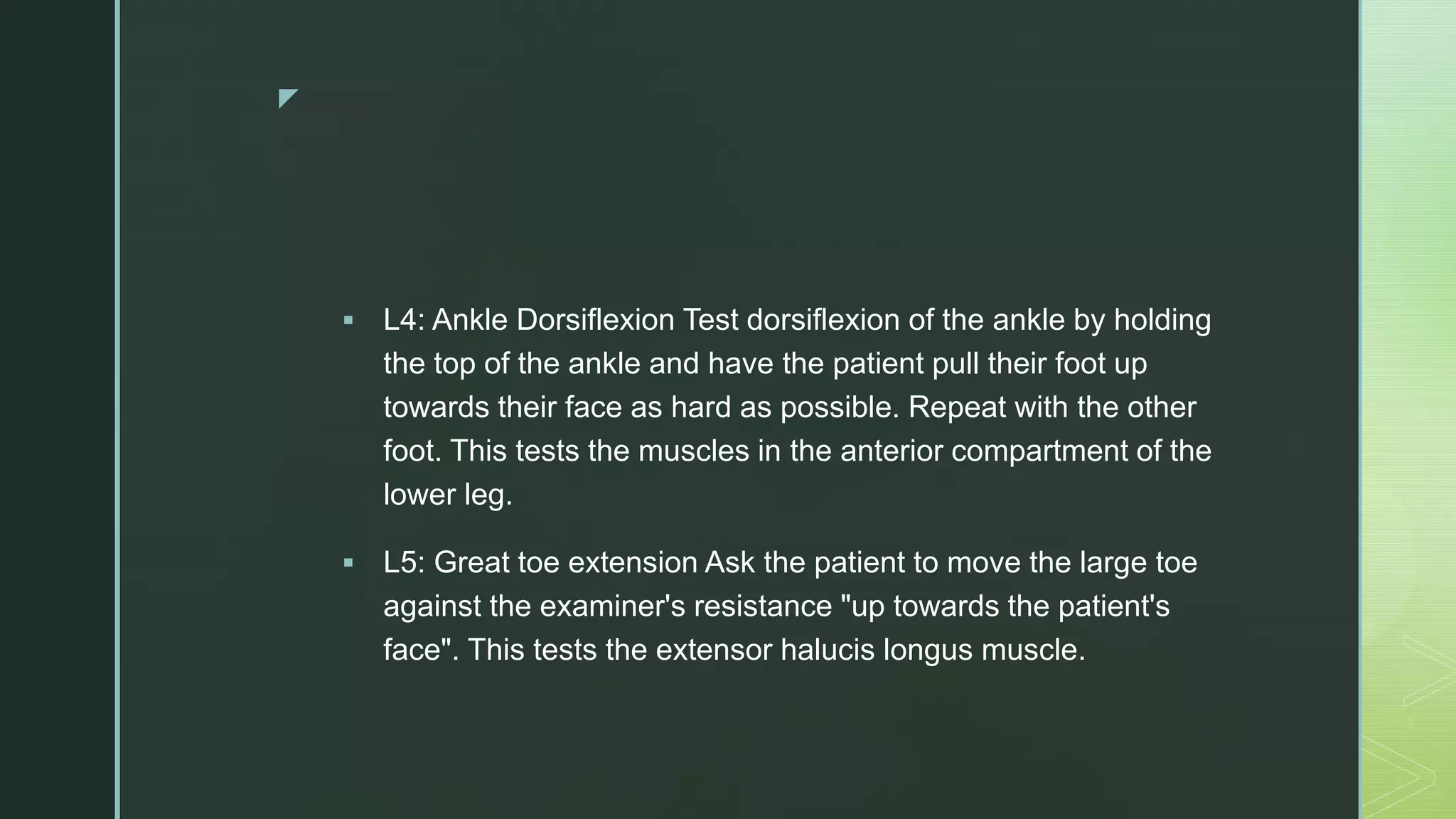 Myotomes | PPTX