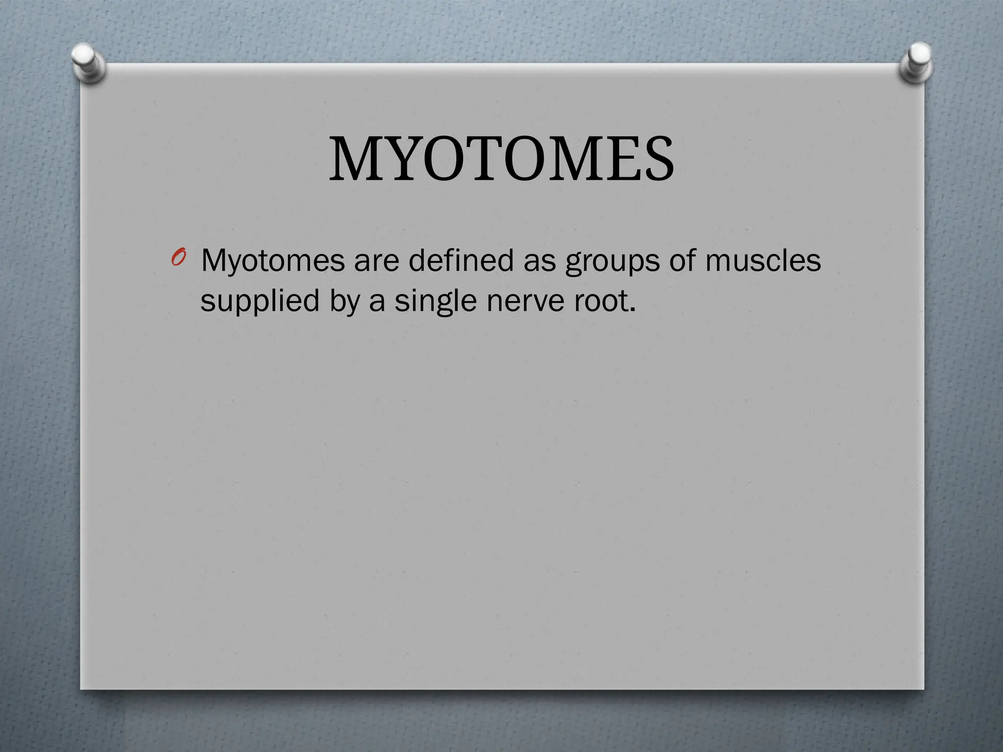 MYOTOMES.pptx Human anatomy and kinesiology | PPT