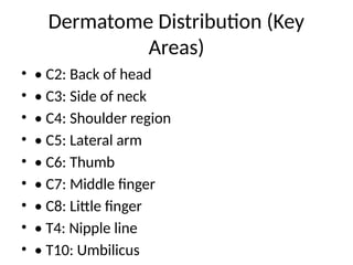 Myotomes_and_Dermatomes_Presentation.pptx