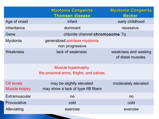 Myotonic muscle disorders | PPT