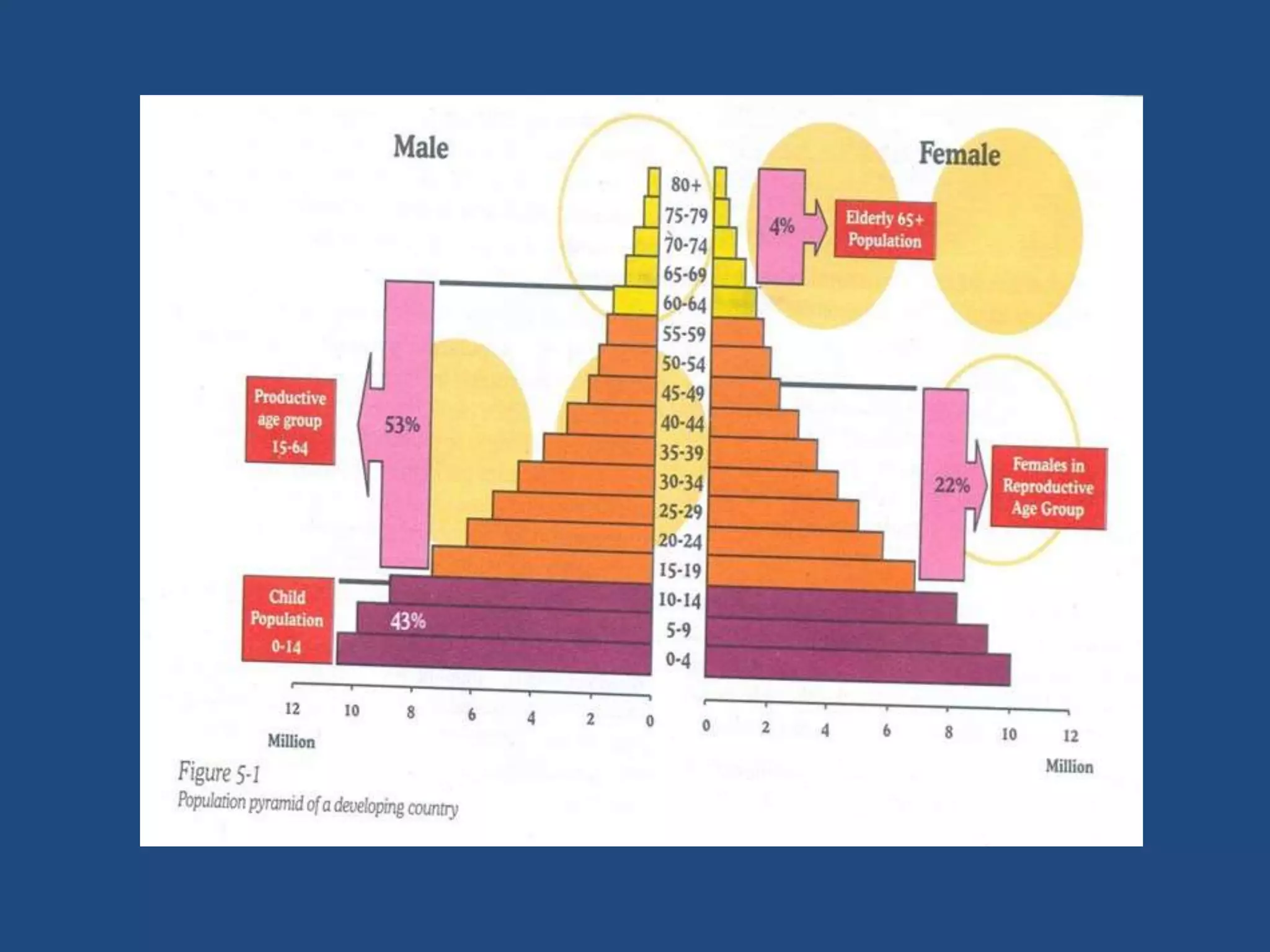 My Own Demography 3 Population Pyramid.pptx