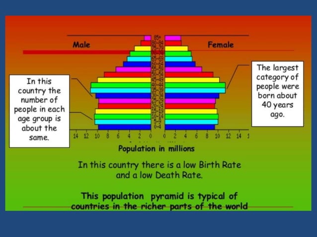 My Own Demography 3 Population Pyramid.pptx