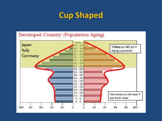 My Own Demography 3 Population Pyramid.pptx